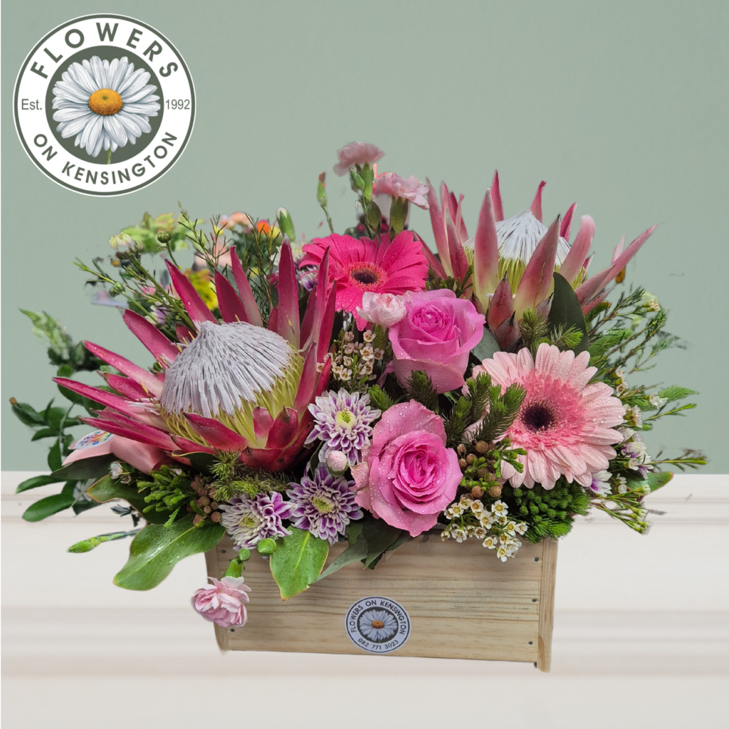 Pretty Protea Box